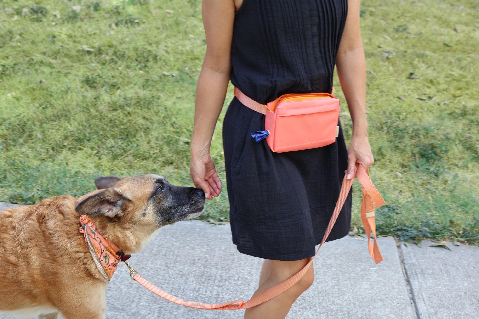 dog walking fanny pack – Major Darling