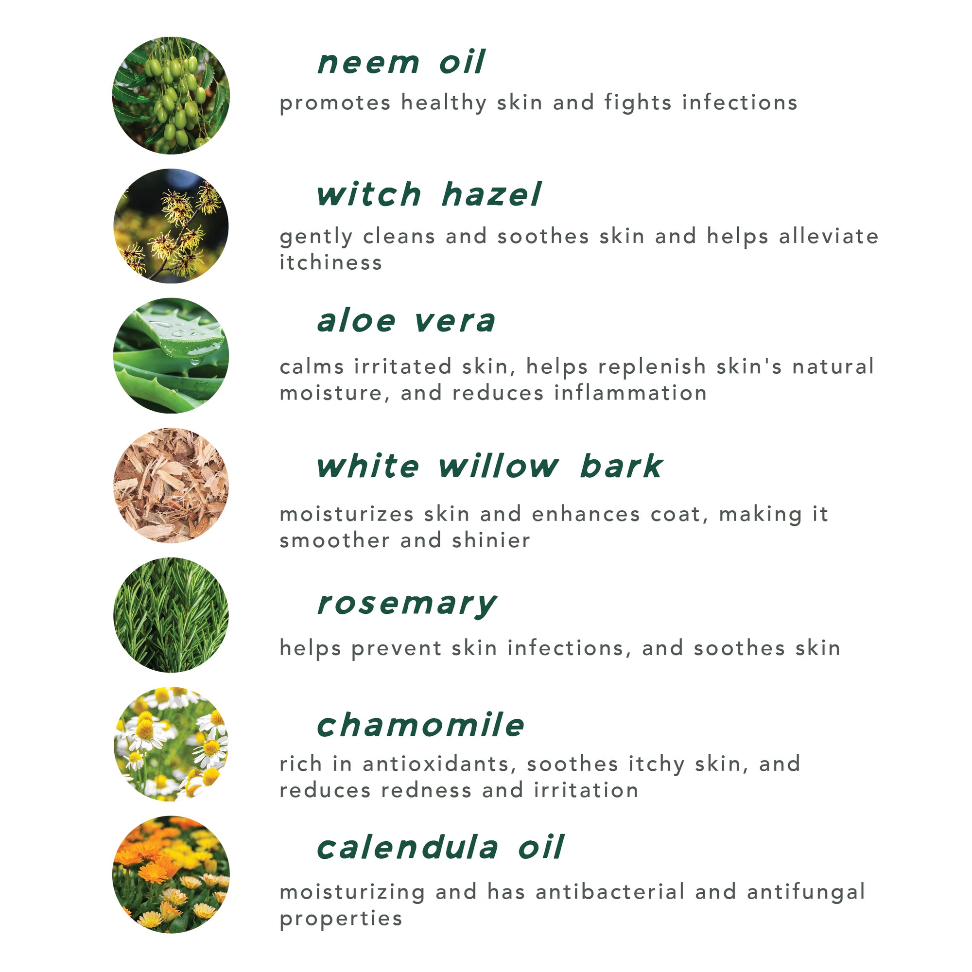 skin tonic + ear wash – Major Darling