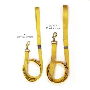 basic leash – Major Darling