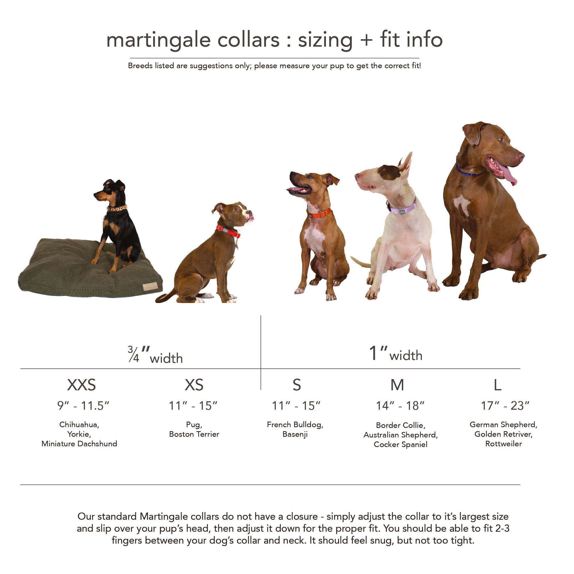 martingale collar / CUSTOM COLORS – Major Darling