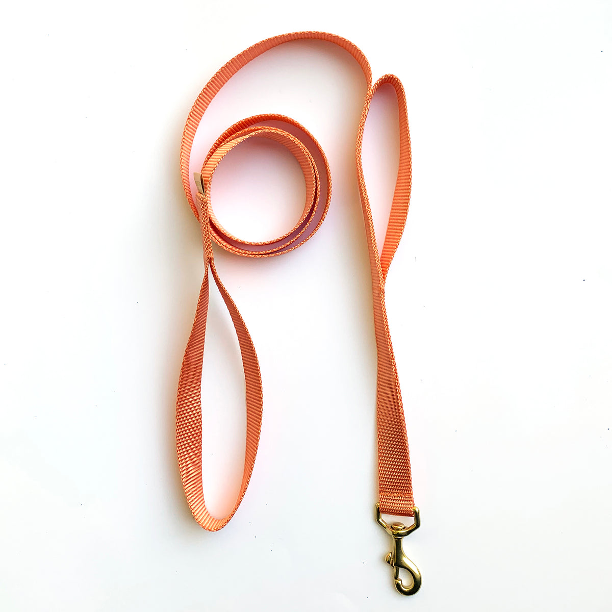 double handle leash / traffic leash – Major Darling