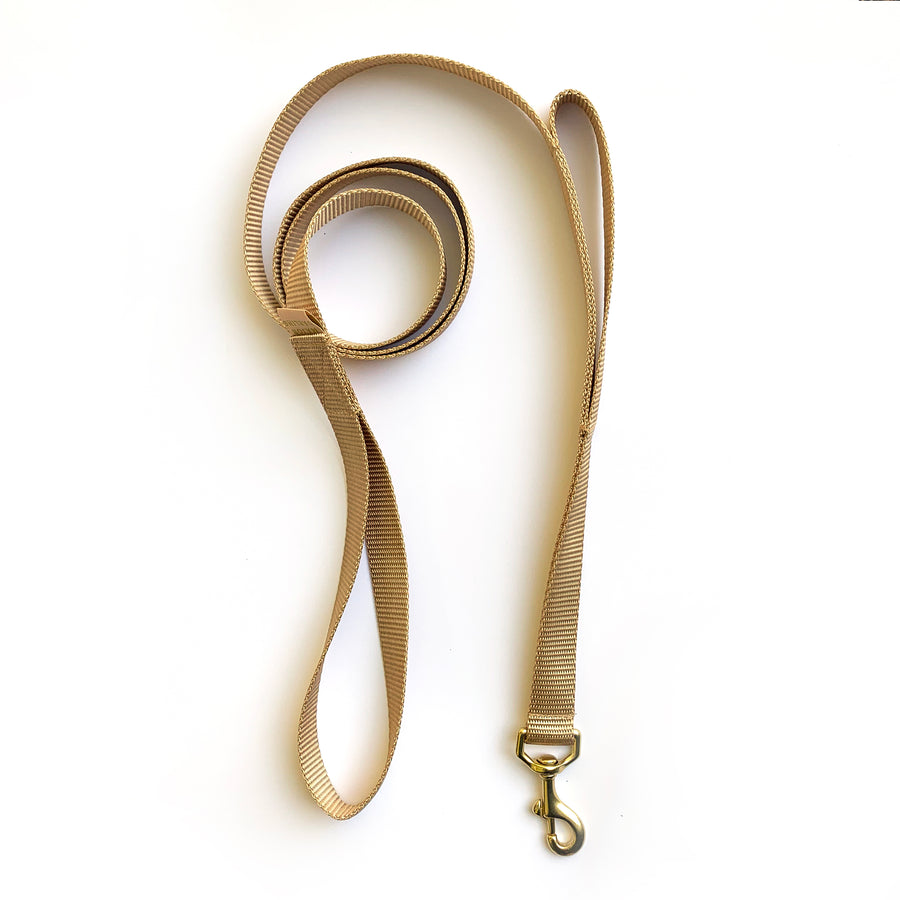 Dog Leashes for Walking & Training | Major Darling
