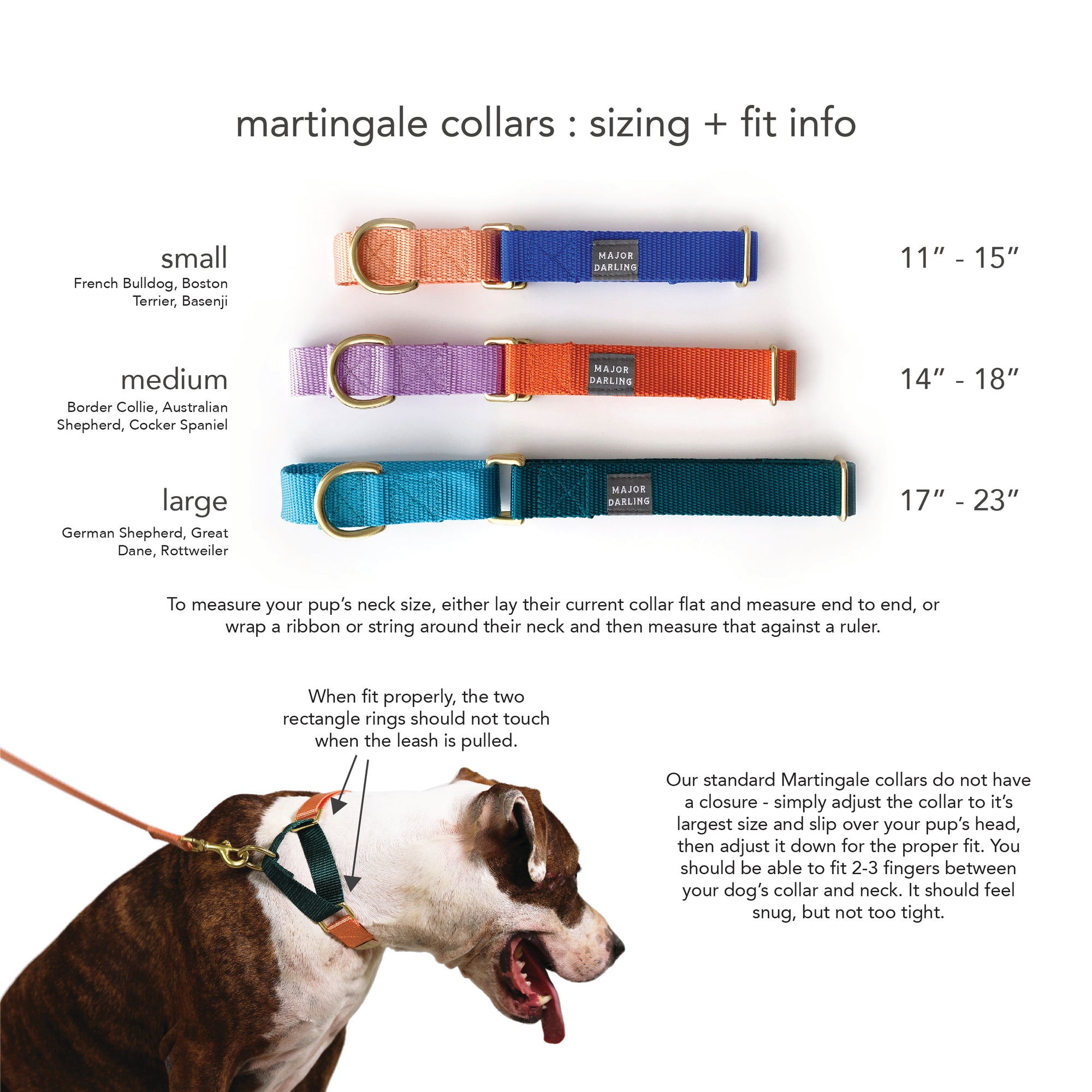 martingale collar / CUSTOM COLORS – Major Darling